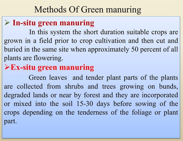 Important of green manuring and their effect on soil fertility | PPTX ...