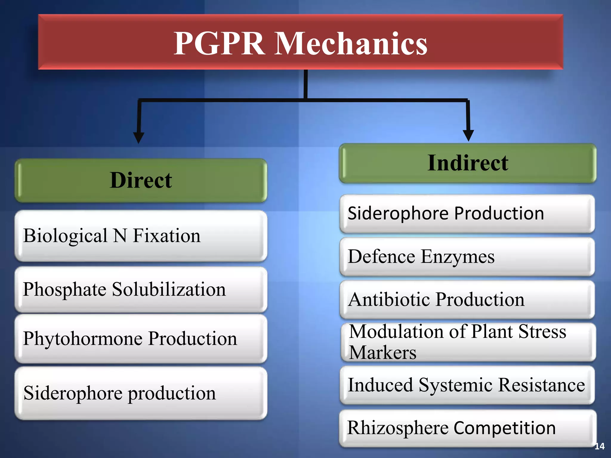 PGPR and its role in crop plants | PPTX