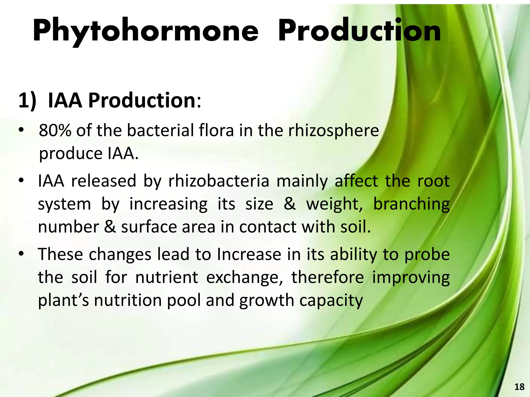 PGPR and its role in crop plants | PPTX