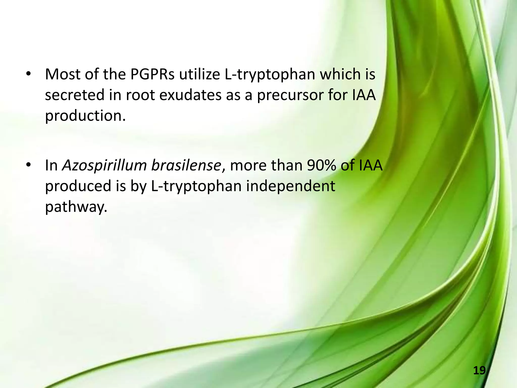 PGPR and its role in crop plants | PPTX