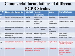 PGPR and its role in crop plants | PPTX