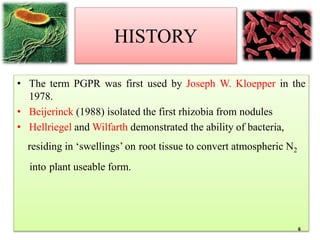 PGPR and its role in crop plants | PPTX