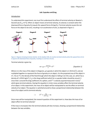 Josh lim cupcakes and drag | DOCX