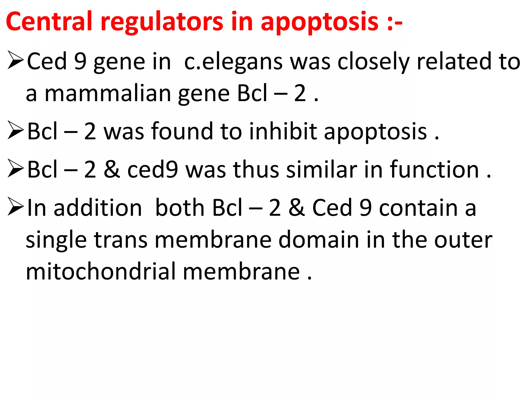 Apoptosis | PPTX