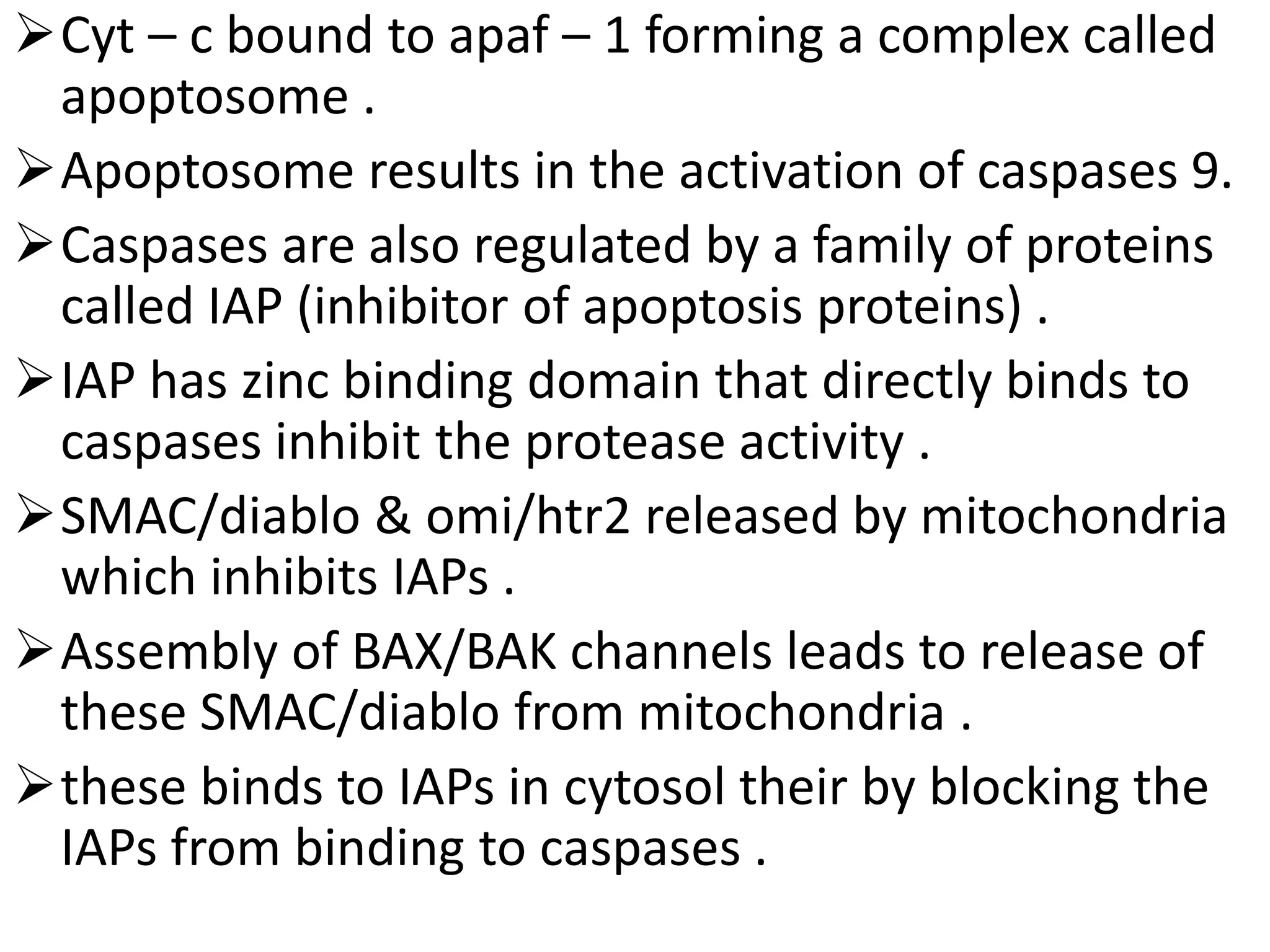 Apoptosis | PPTX