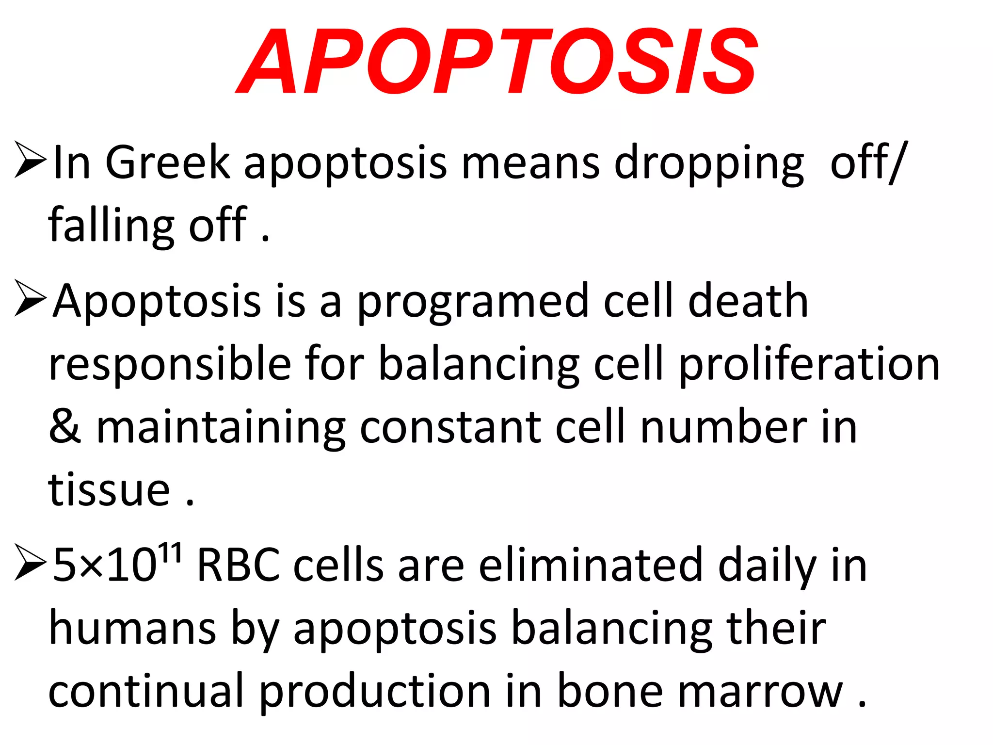 Apoptosis | PPTX