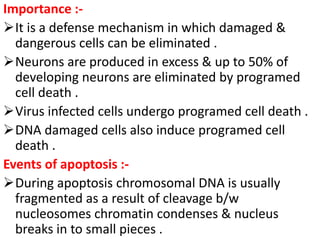 Apoptosis | PPT