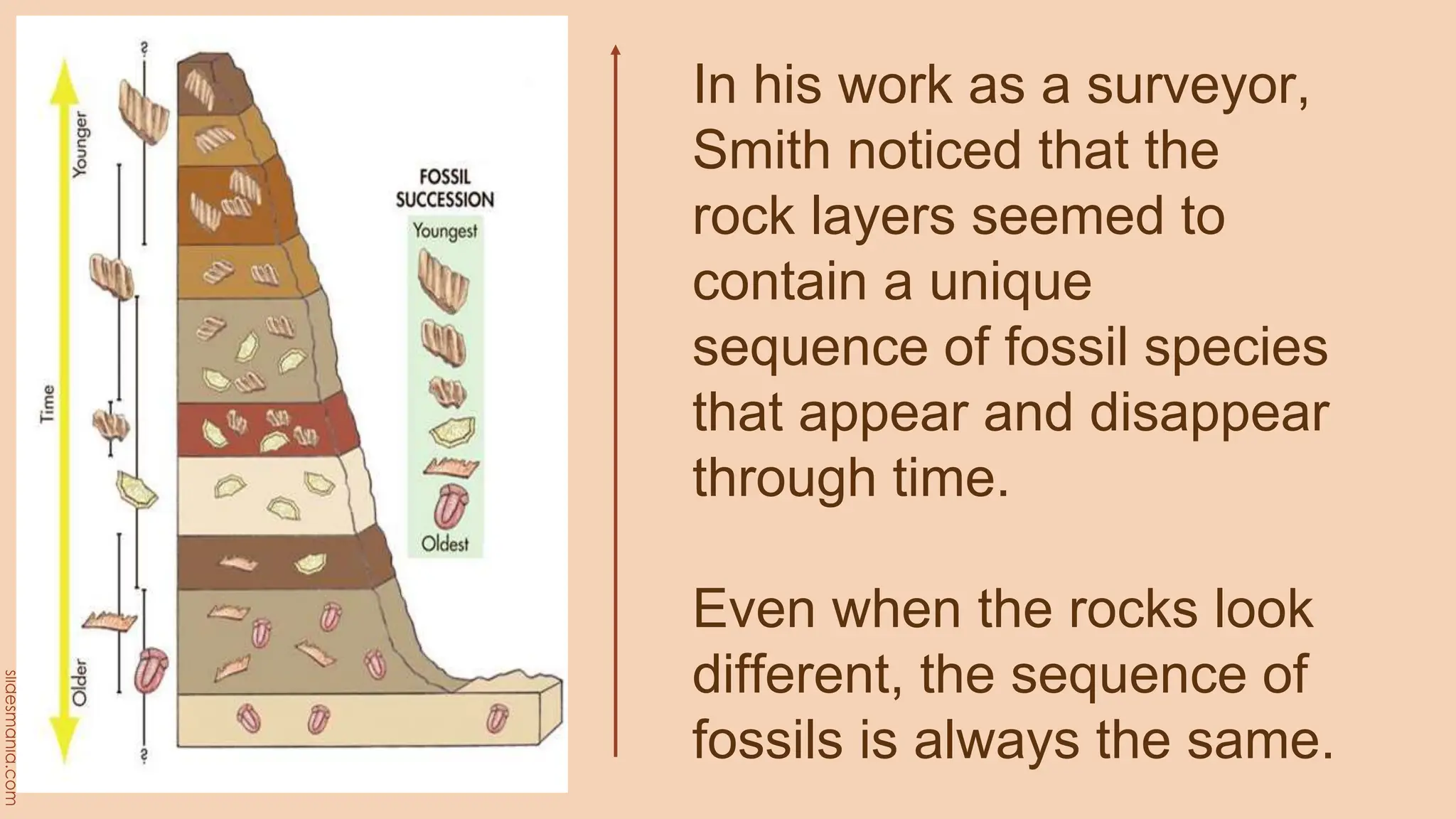 Determining Geologic Time Scale using Absolute and Relative Dating ...