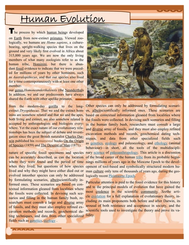 HUMAN EVOLUTION | PDF