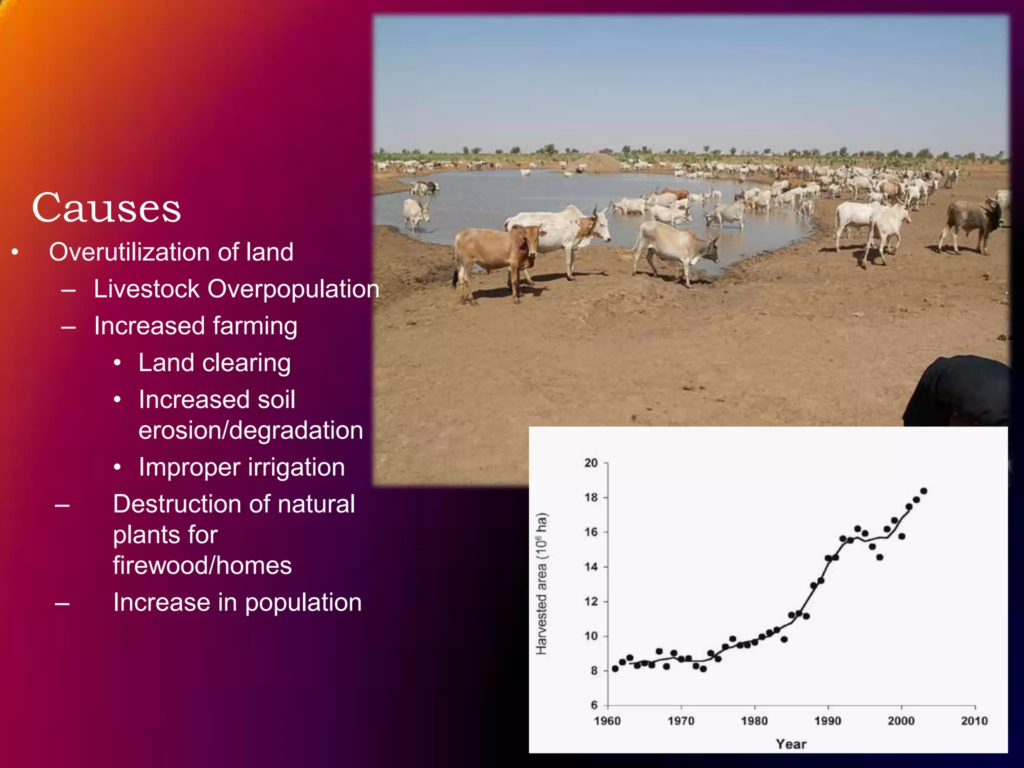 Joshua ratliff powerpoint presentation - desertification | PPTX ...