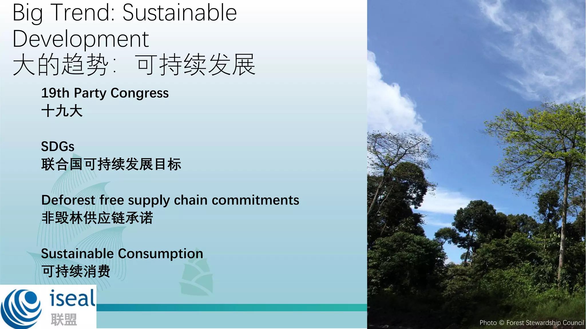 Joshua Wickerham_Driving B&R Development through Sustainable Standards ...