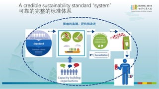 Joshua Wickerham_Driving B&R Development through Sustainable Standards ...