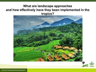 Forestry for sustainable future: The role of integrated landscape ...