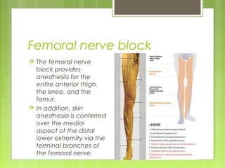 Ultrasound Guided Peripheral Nerve Blocks | PPT