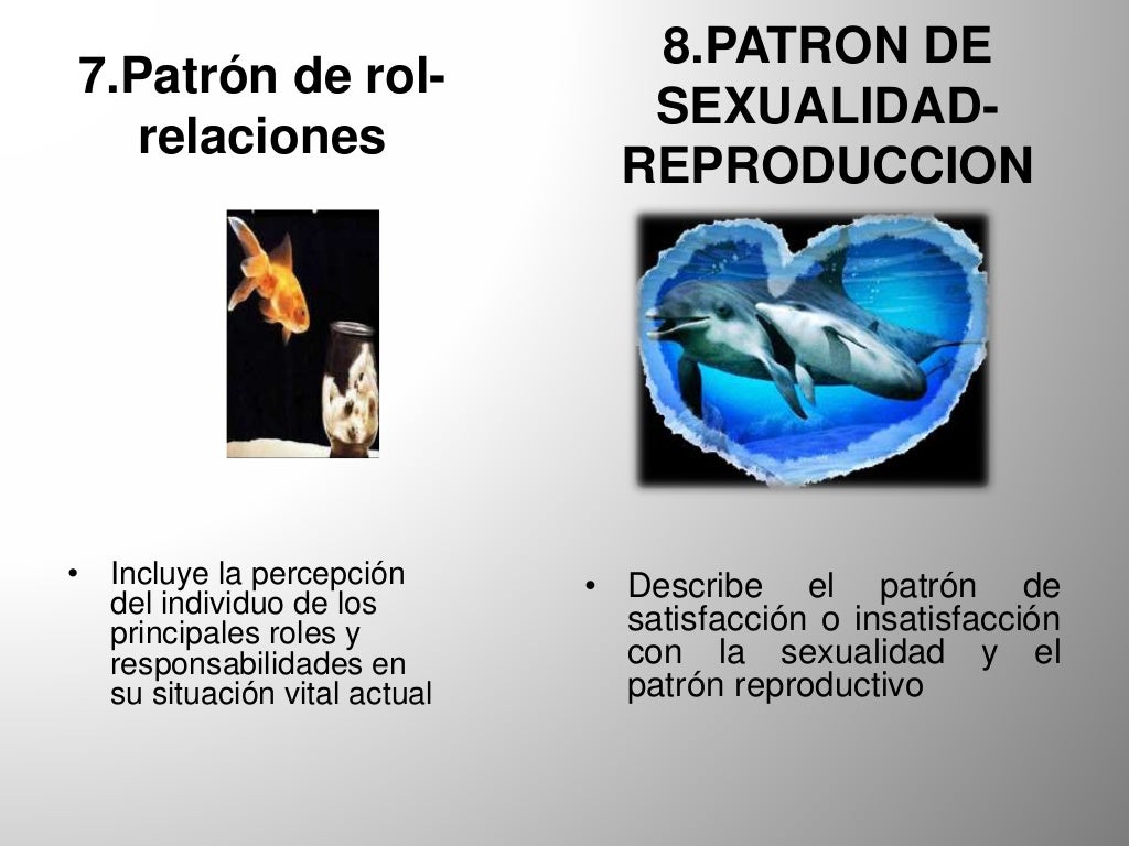 Marjory Gordon y sus 11 patrones funcionales
