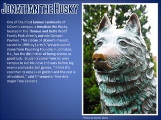 Uconn Husky Statue