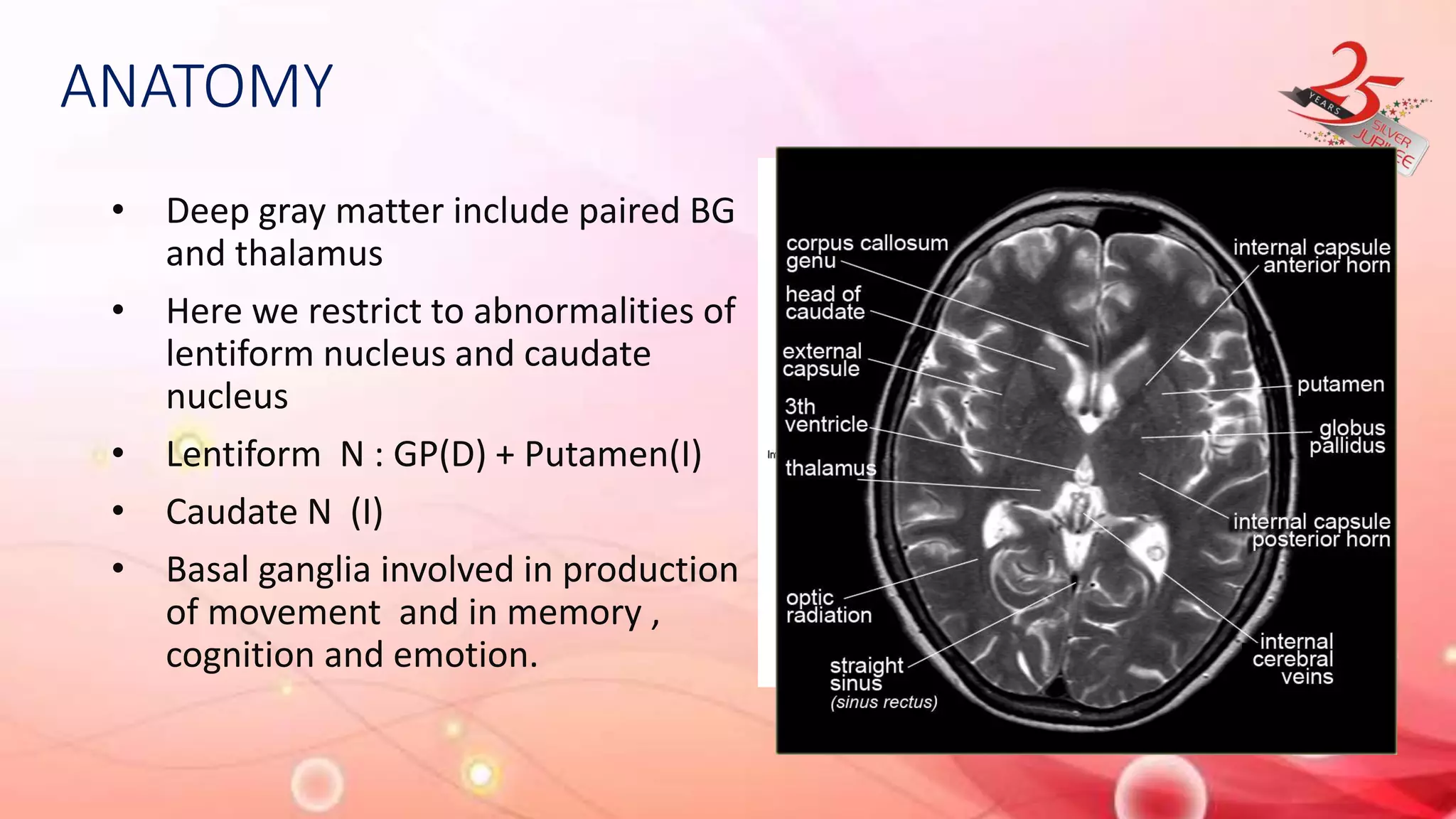 Basal Ganglia Mri Radiopaedia