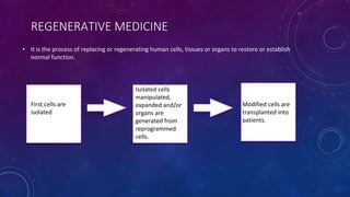 Stem cells and regenerative medicine | PPTX