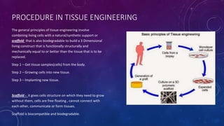 Stem cells and regenerative medicine | PPTX