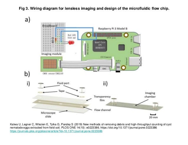 Lens-less imaging setup to detect microscale eggs | PPT