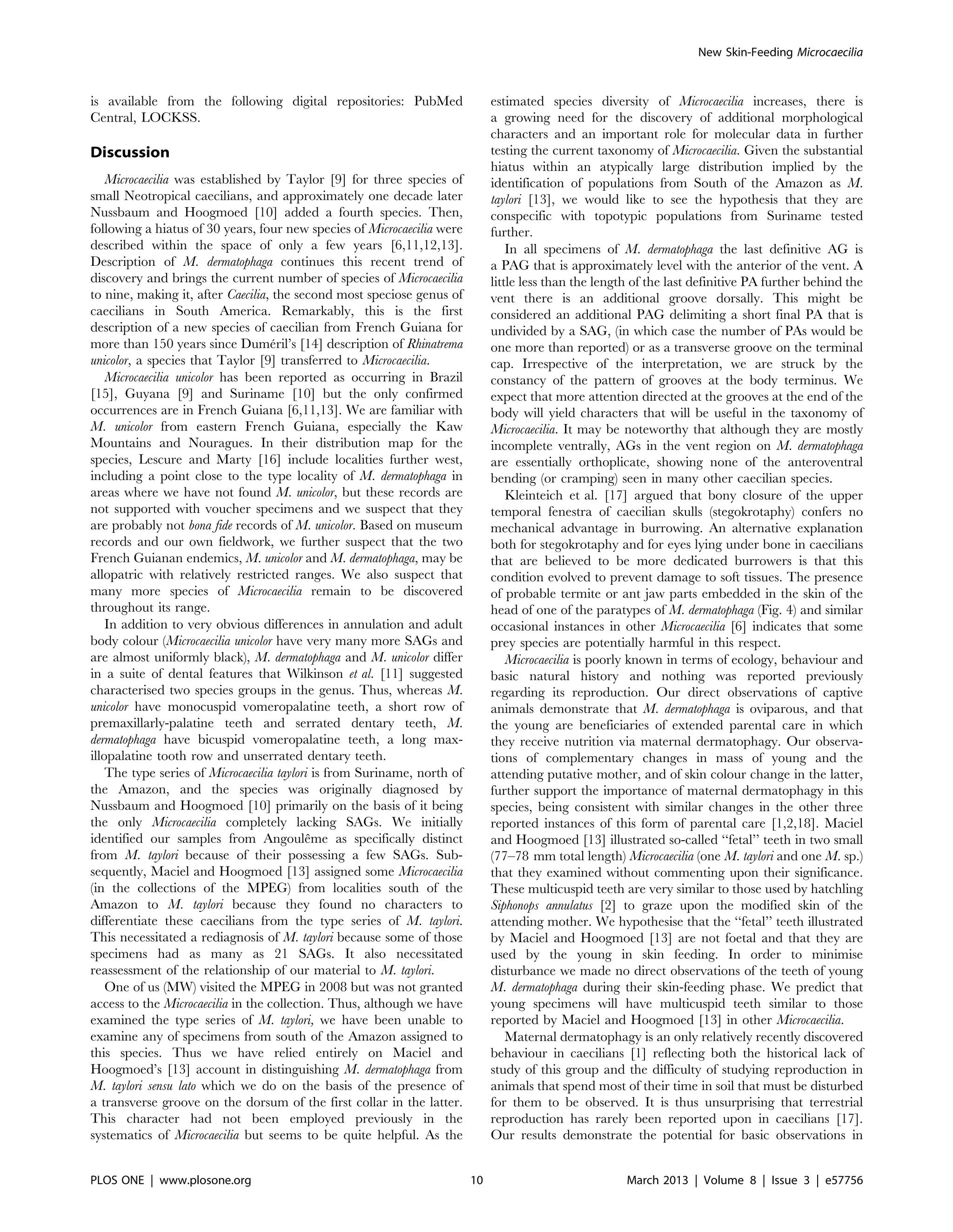 A New species of skin-feeding Caecilian | PDF
