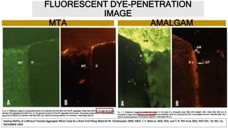 CLINICAL APPLICATIONS OF MTA | PPTX