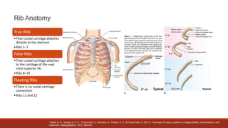 Journal 1 ppt rib injury trauma - Copy.pptx