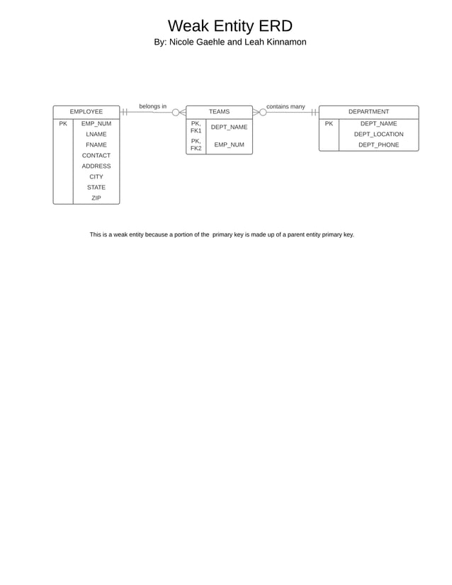 Entity Relationship Diagram: Weak Entity | PDF | Databases | Computer ...