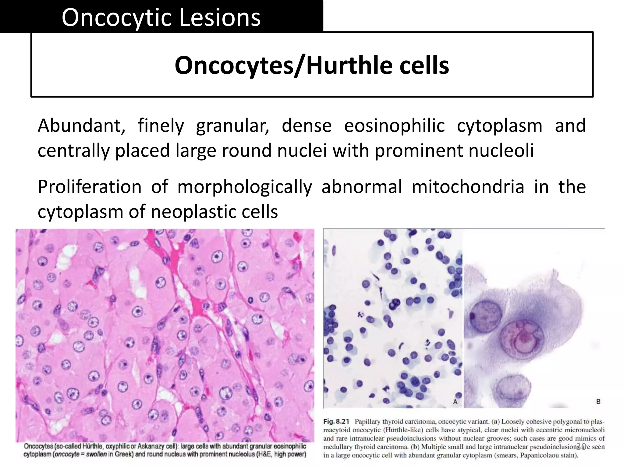 Journal article review | PPTX