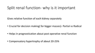 Journal club- Split renal function in patients with renal masses ...