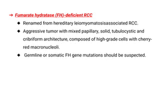 NEW UPDATES IN KIDNEY TUMOR PATHOLOGY: WHO 5th EDITION.pptx