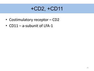 Journal club_NKs CXCR2 gene modified - improved migration | PPT