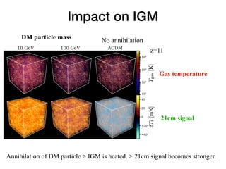 Dark matter and 21cm line signal | PPT