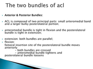 acl arthroscopic reconstruction single bundle vs double bundle | PPTX