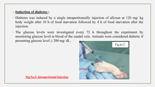 Journal Club Presentation | Master of Pharmacy | PPTX