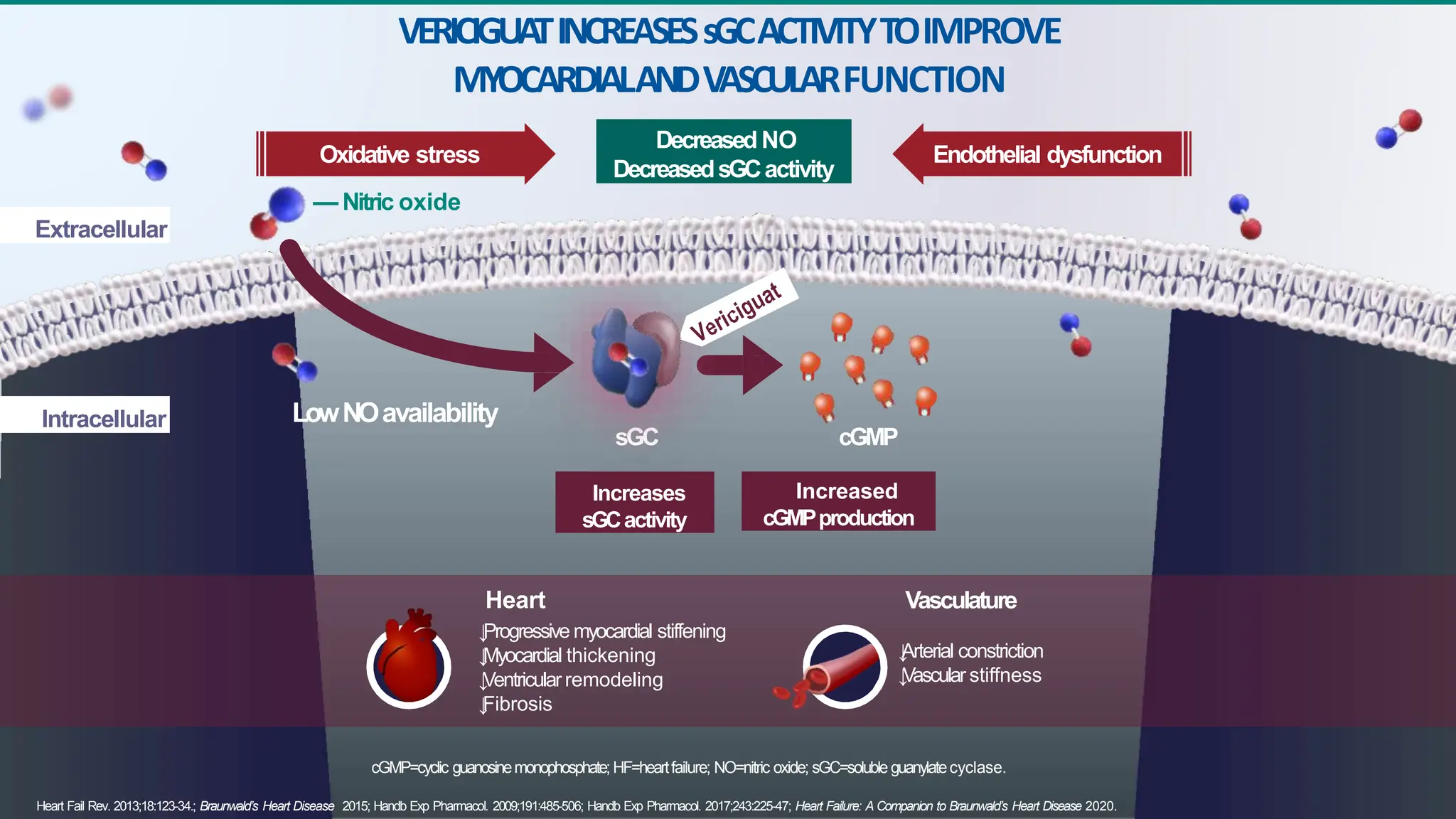 The DELIVER Trial: Dapagliflozin in Heart Failure with Mildly Reduced ...