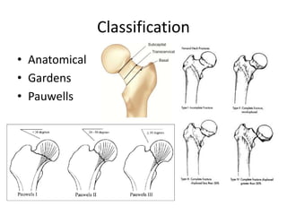 Journal club FNS.pptx