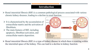 Journal Club Presentation (Pharmacology Department).pptx | Endocrine ...