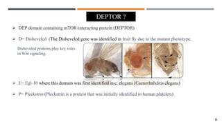 Journal Club Presentation (Pharmacology Department).pptx