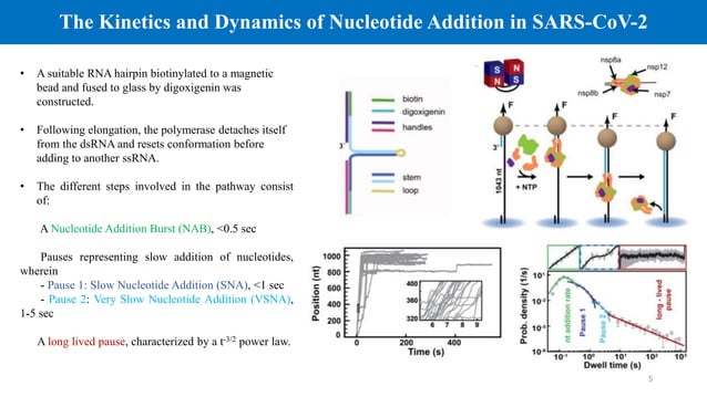 Journal Club Presentation - Dr. David Dulin.pptx