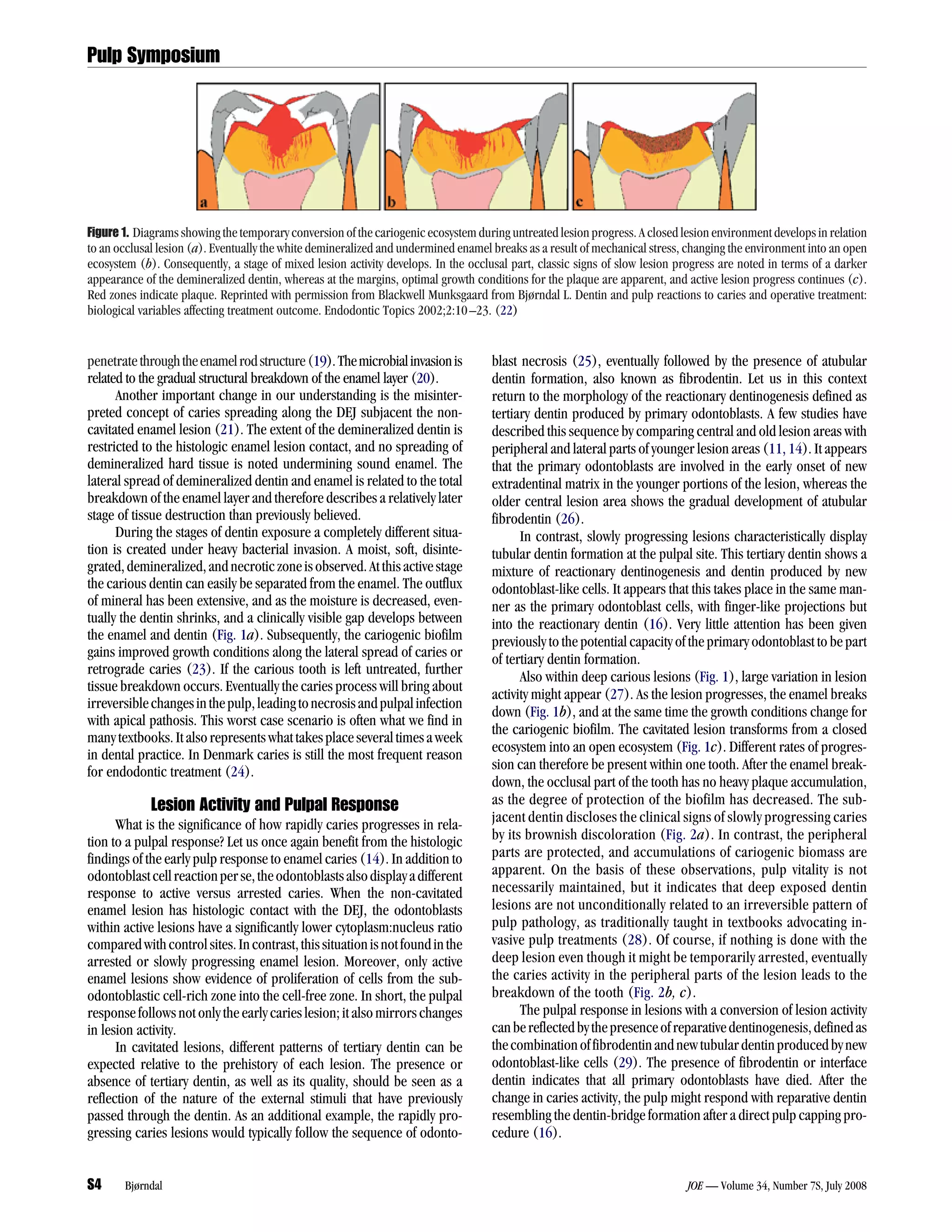 Journal of endodontics | PDF