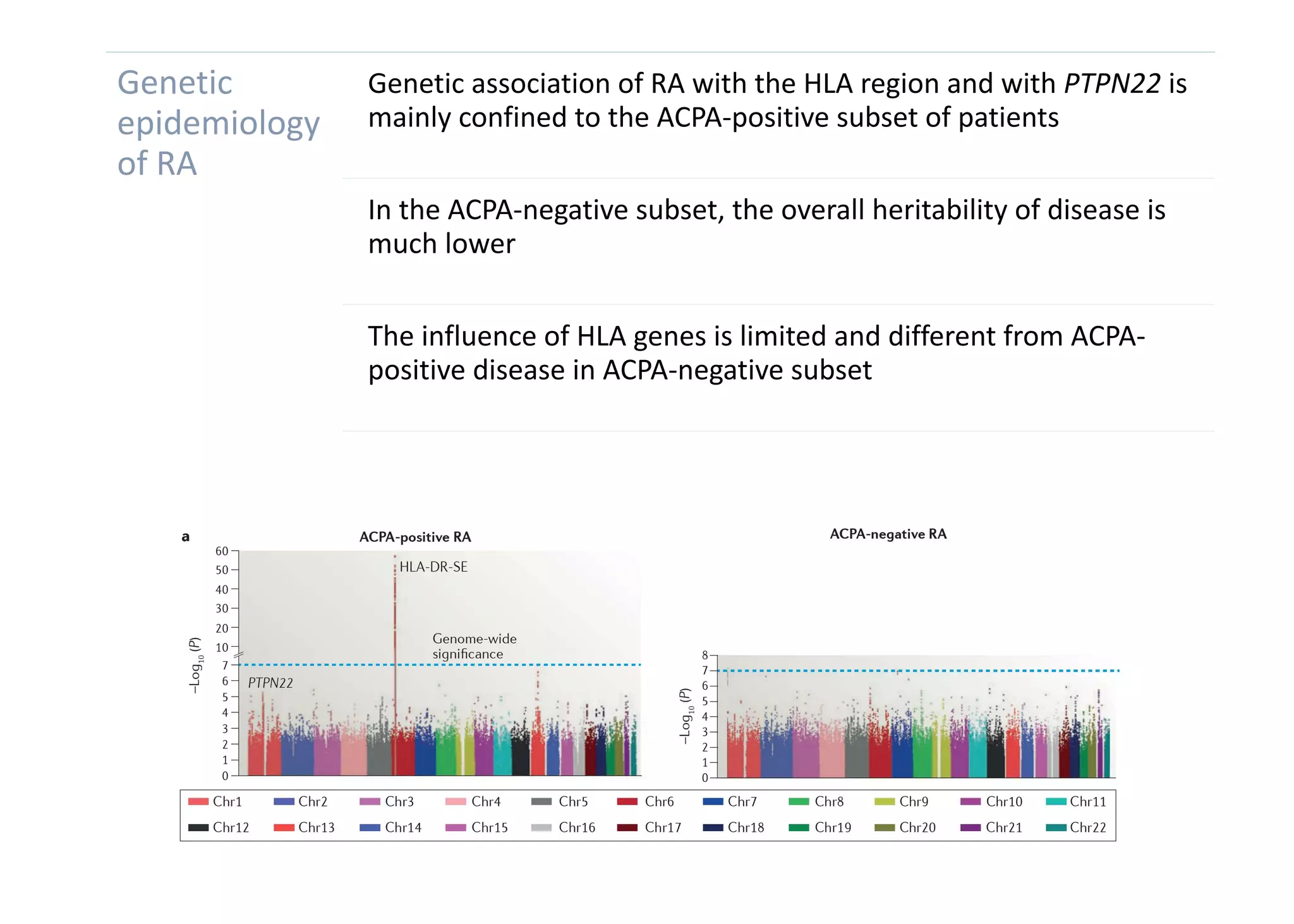 The immunopathogenesis of seropositive rheumatoid arthritis | PPTX