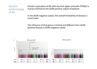 The immunopathogenesis of seropositive rheumatoid arthritis | PPTX