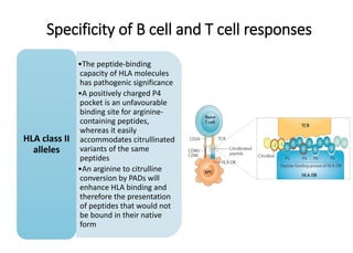 The immunopathogenesis of seropositive rheumatoid arthritis | PPTX