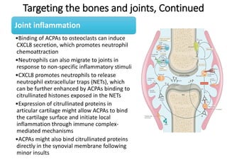 The immunopathogenesis of seropositive rheumatoid arthritis | PPTX