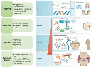 The immunopathogenesis of seropositive rheumatoid arthritis | PPTX