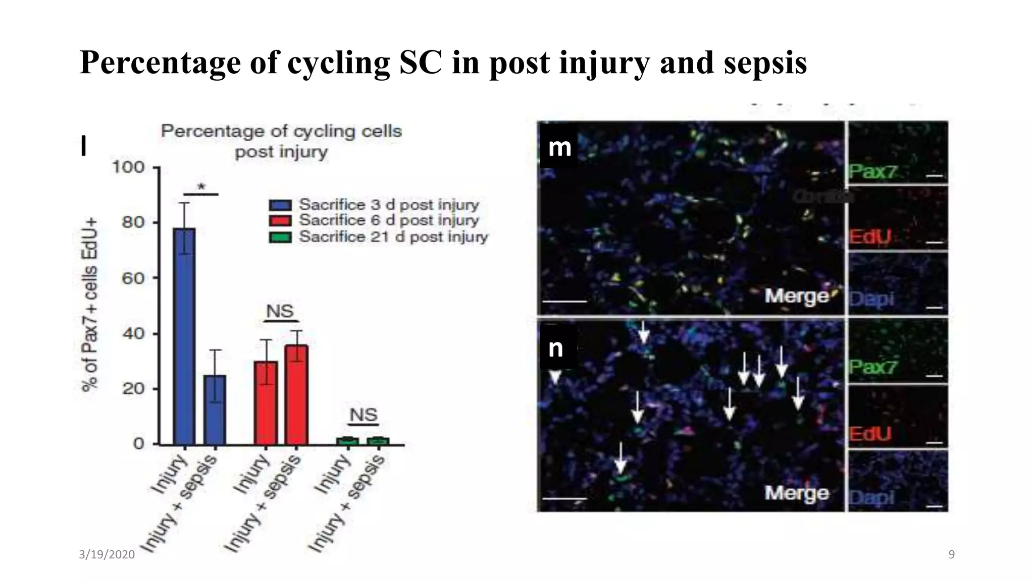 Sepsis Induces Long-term Metabolic and Mitochondrial Muscle Stem Cell ...