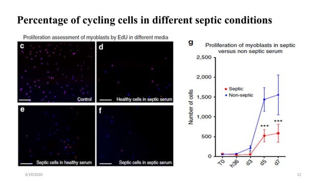 Sepsis Induces Long-term Metabolic and Mitochondrial Muscle Stem Cell ...