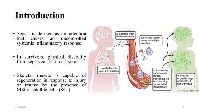 Sepsis Induces Long-term Metabolic and Mitochondrial Muscle Stem Cell ...