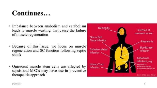 Sepsis Induces Long-term Metabolic and Mitochondrial Muscle Stem Cell ...